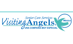 Franquicia Visitng Angels