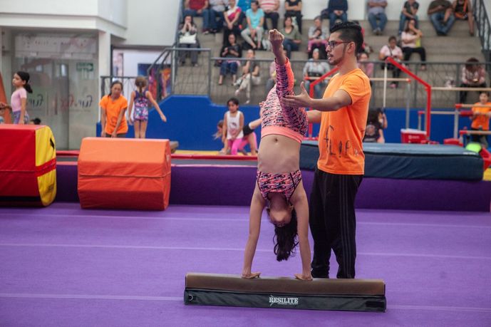 Franquicia Flip N Fly